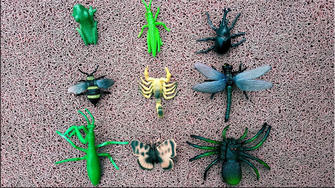 HUNTING FOUND TOYS Kalajengking Laba-laba Kupu Capung Kodok ...