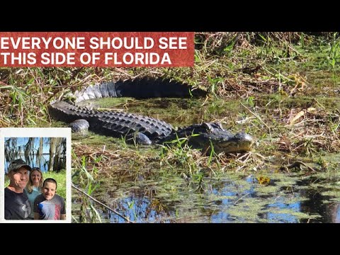 Exploring Old Florida | Circle B Bar Reserve | Walking Alligator Alley ...