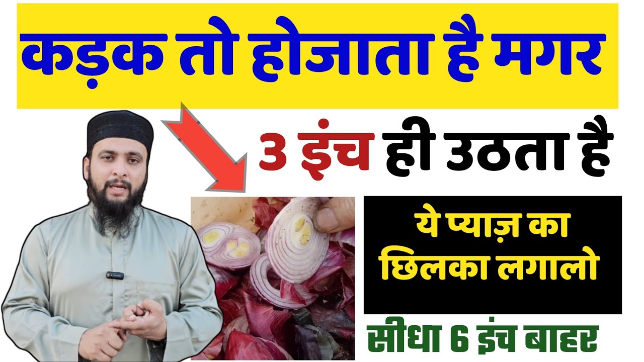 Blooming Onion recepie for men || Amazing recepie || Sameer Khan - YouTube