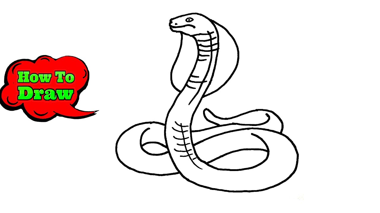 How To Draw A Snake | Snake Drawing | Drawing Tutorial Easy - YouTube