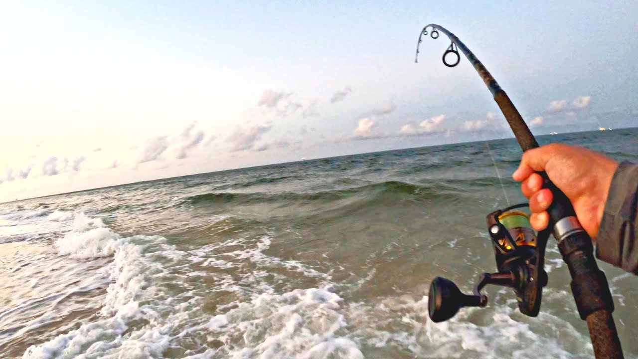 Catching Giant fish from the surf (Topwater Action) - YouTube
