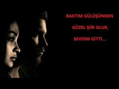 Sevdim Gitti I Cemal Süreyya I Bastonlu Dede I