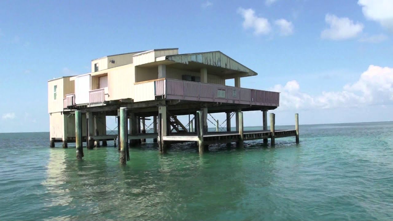 Miami Ocean and bay adventure tour - YouTube