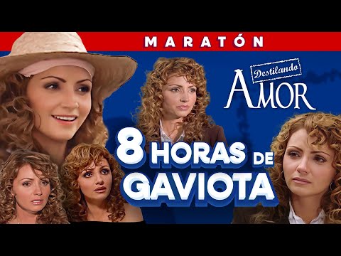 Los mejores momentos de Angélica Rivera como Gaviota en Destilando Amor