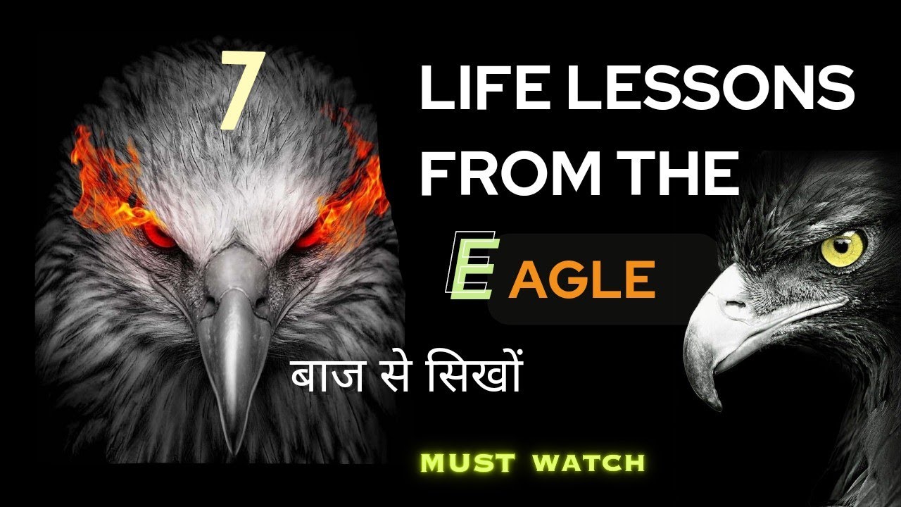 Learn from the Eagle | 7 life lessons from the Eagle #viral #motivation ...