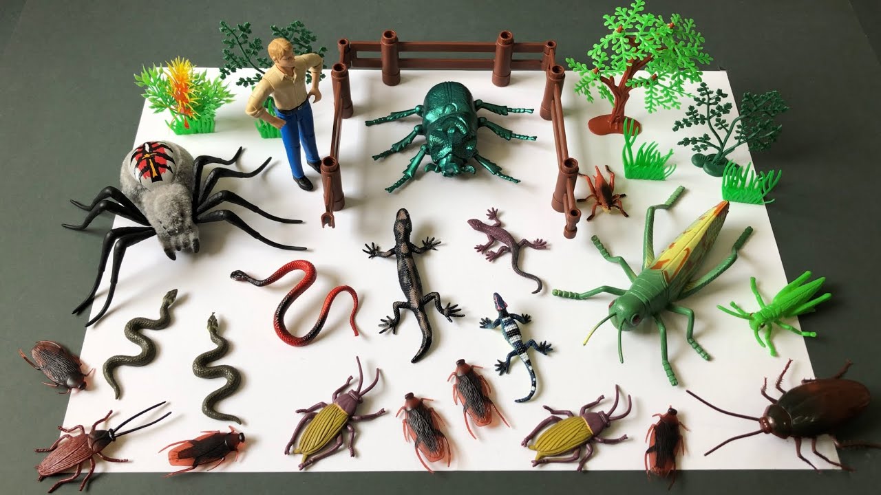 Cockroach and Spider from Zuru Robo Alive. Insect Toys farm for Kids ...