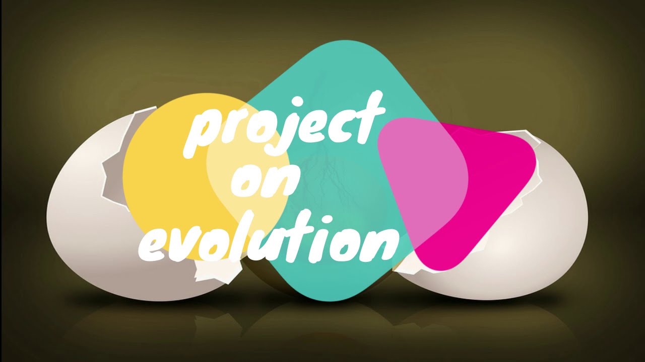 biology project on evolution FOR CLASS 12 - YouTube