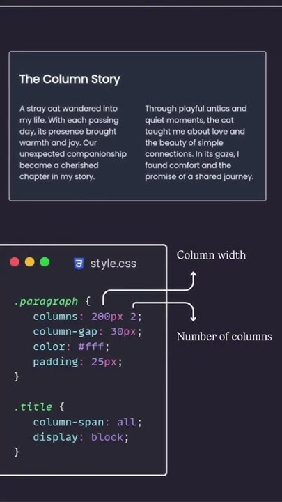 frontend design #coding #youtubeshorts#programming #viralvideo #students#htmlcss #design #js#css ...