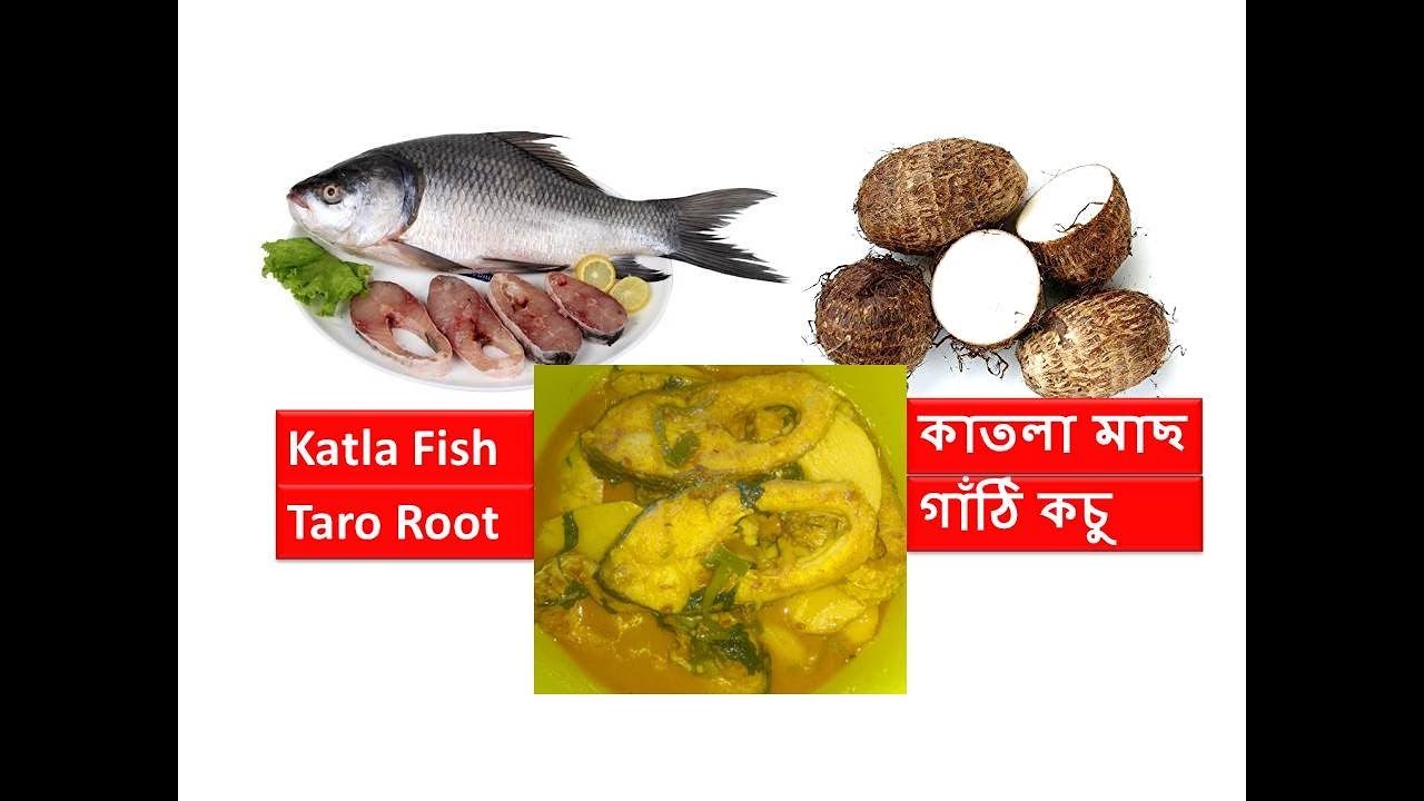 Kochu diye katol macher jhol | Katla Fish with Taro Root Recipe Bengali ...