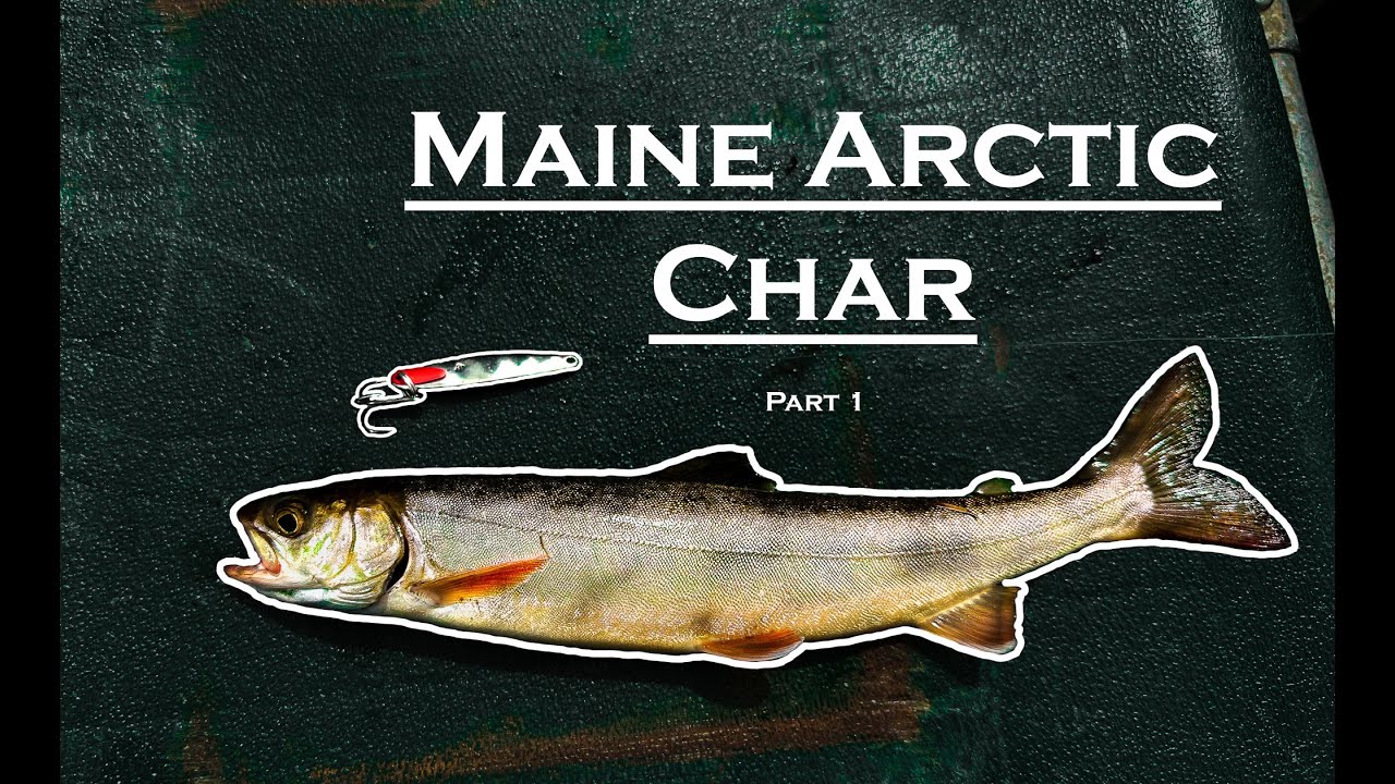 Fishing For Blueback Trout, Maine's RARE Native Arctic Char - YouTube