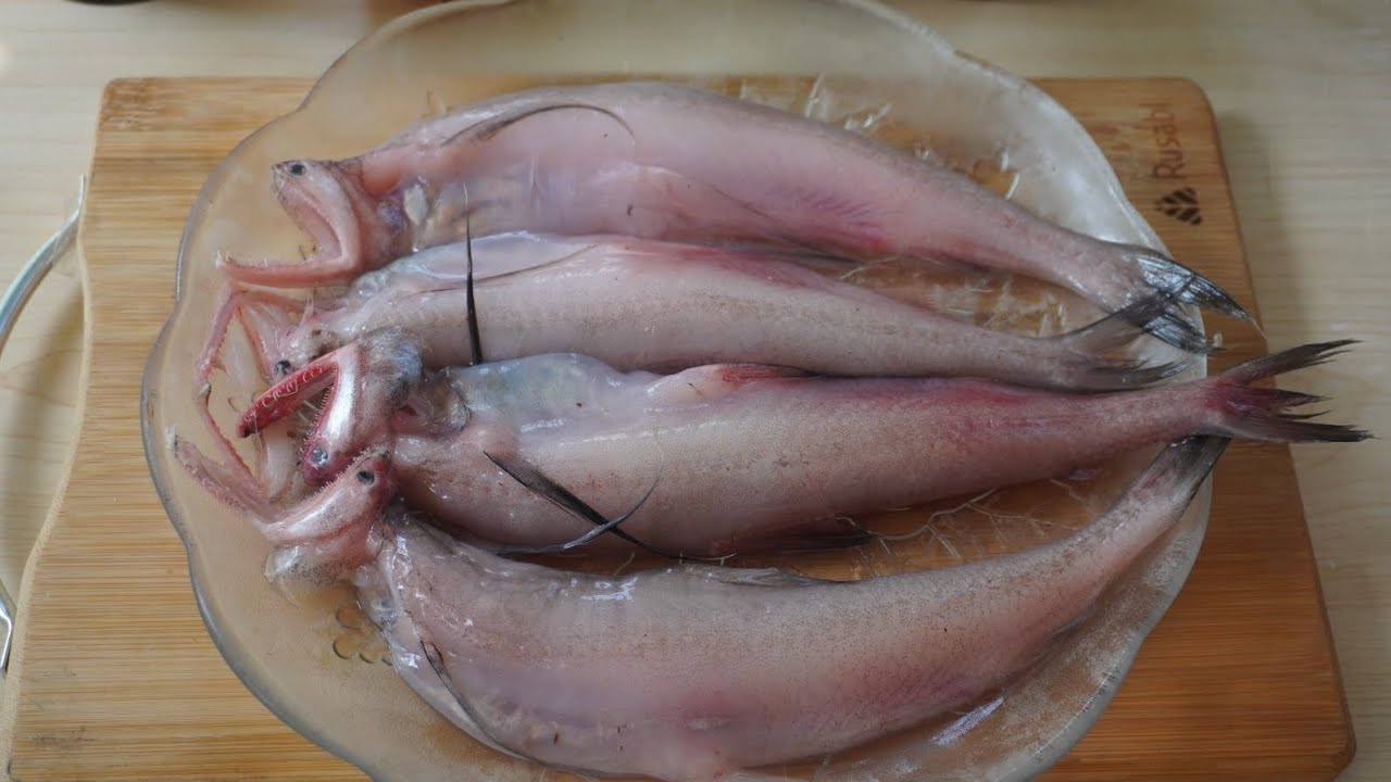 Bombil fish fry / Bomduck fish fry/ easy and tasty recipe 🐟 - YouTube