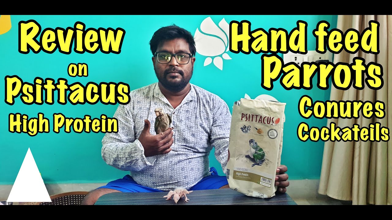 Psittacus formula to chicks / High Protein | My honest review on ...