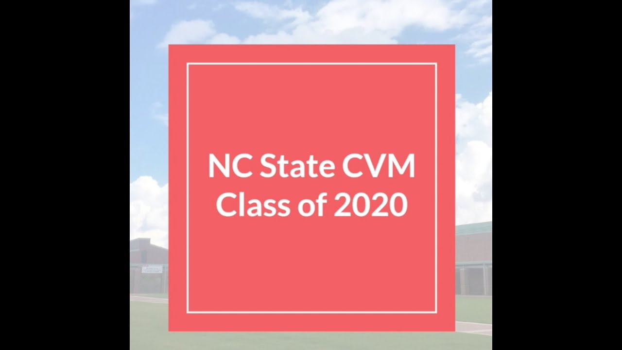 NC State College of Veterinary Medicine Class of 2020 Video - YouTube