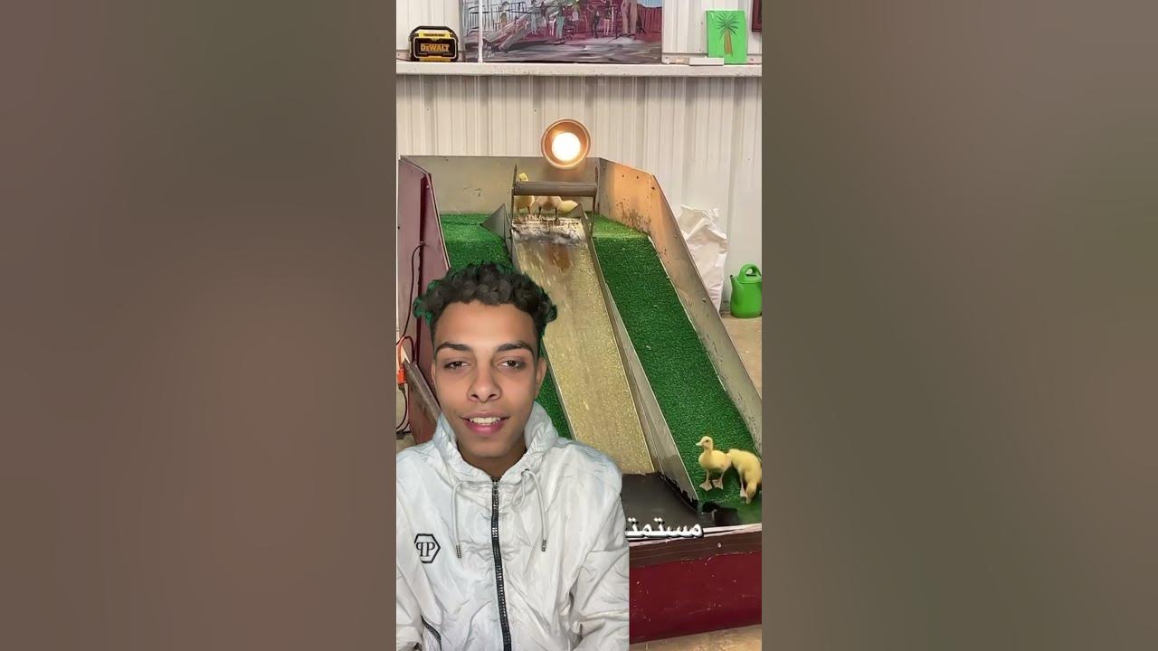 ياريتني كانت بطة 🦆😂😂🙋🏻♂️ مش معقول 😵🤦🏻♂️ Shorts Youtube