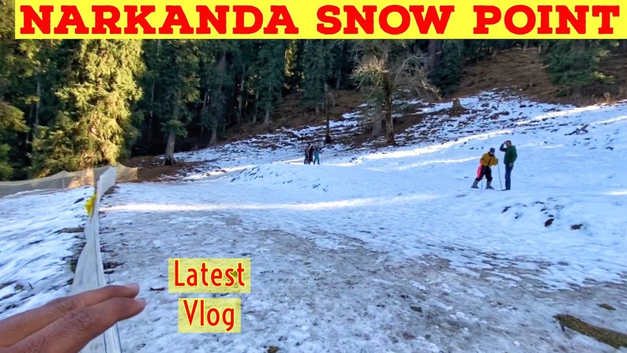ROAD TRIP to NARKANDA | SNOW VALLEY in search of SNOW| Shimla to ...