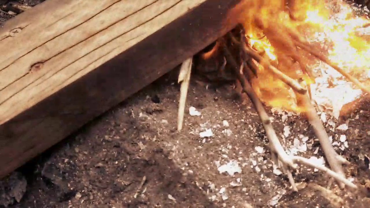 Campfire Dragon in Action! - YouTube