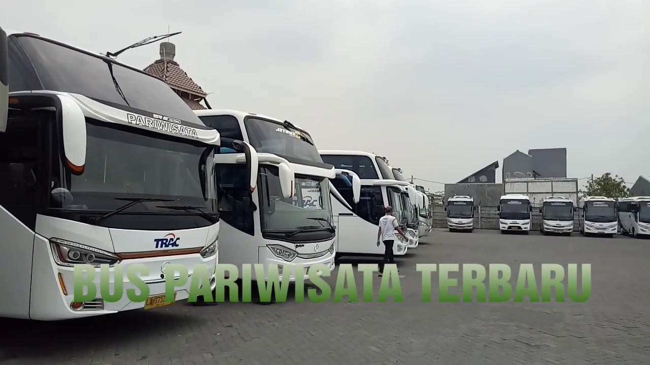 BUS TRAC Pariwisata Terbaru | Bus SHD HDD | TRAC Surabaya | TRAC ...