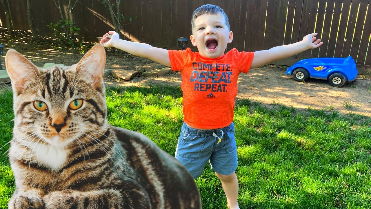 Caleb Backyard Adventure Story with Kitty Cat Pet! - YouTube