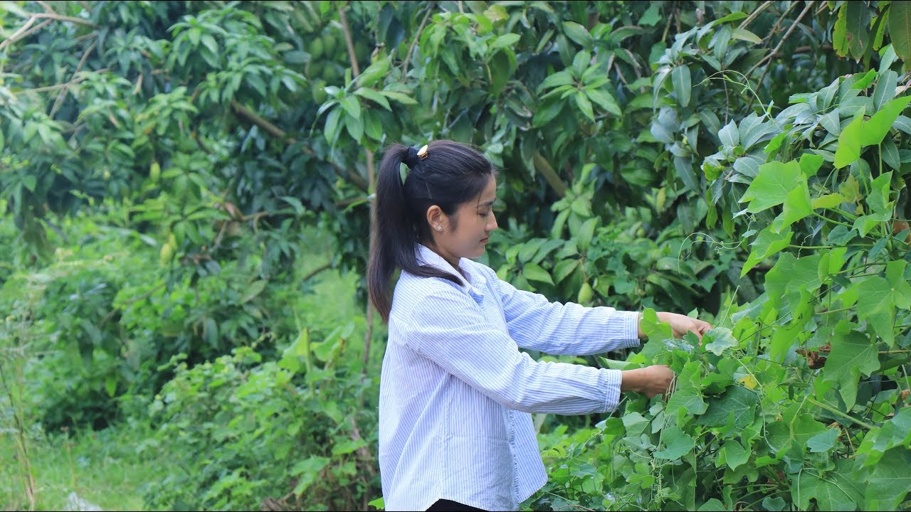 Yummy Traditional Healthy Food - Get free vegetable around home ...