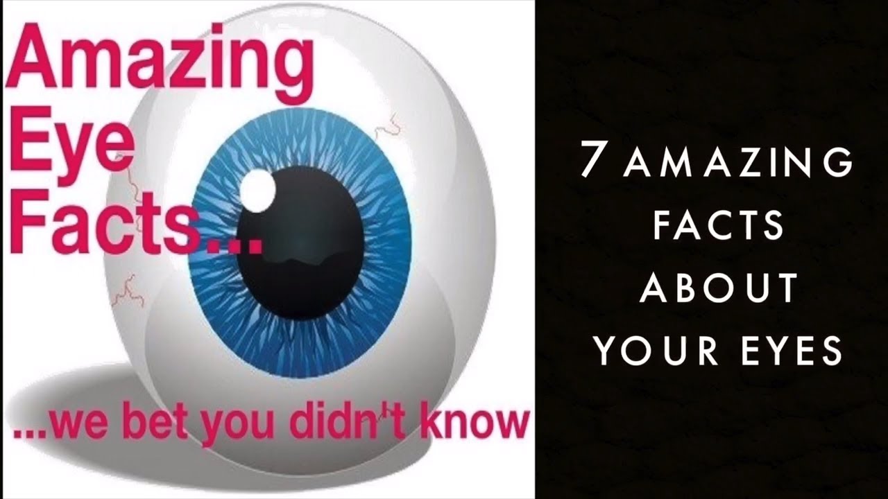Amazing Facts About Your Eyes - Nutshell School - YouTube