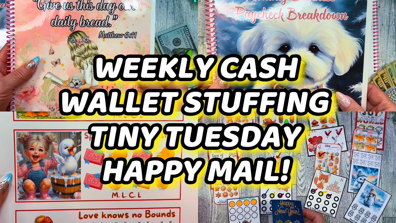 WEEKLY CASH WALLET STUFFING, HAPPY MAIL, & TINY TUESDAY SAVINGS ...