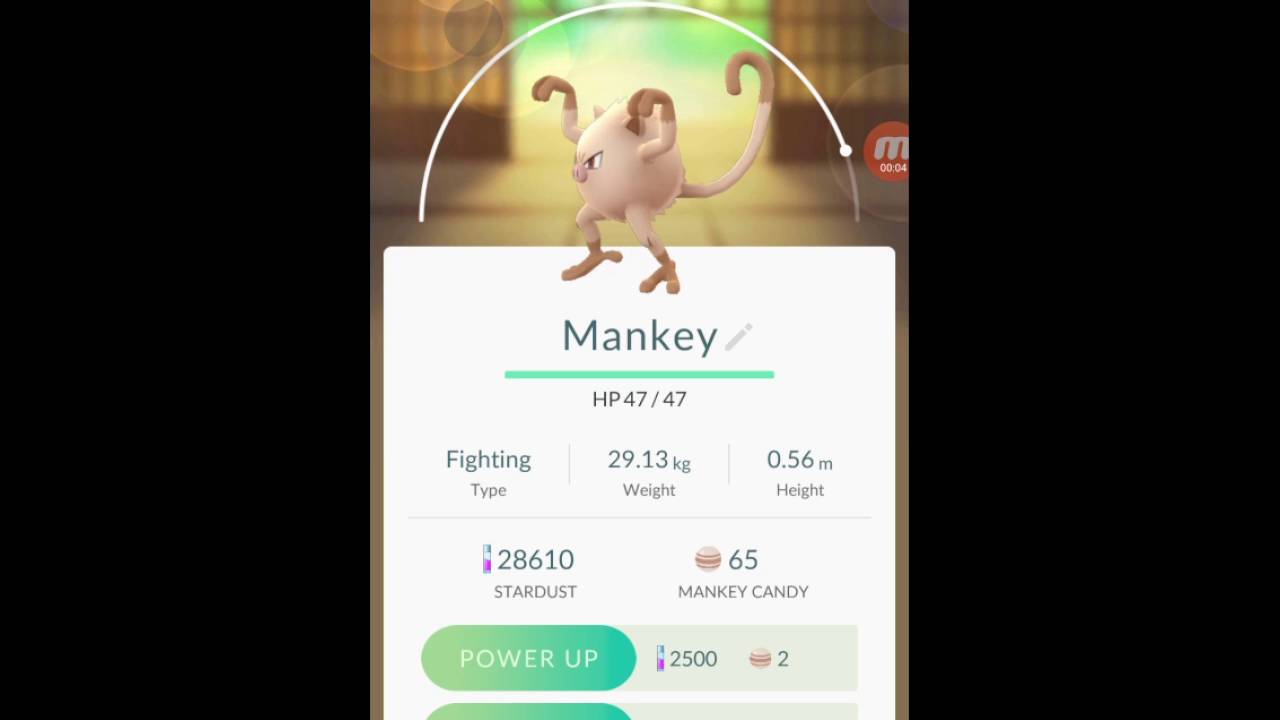 [포켓몬고][Pokemongo] 포켓몬 희귀캐 망키 진화 ! Mankey evolution - YouTube