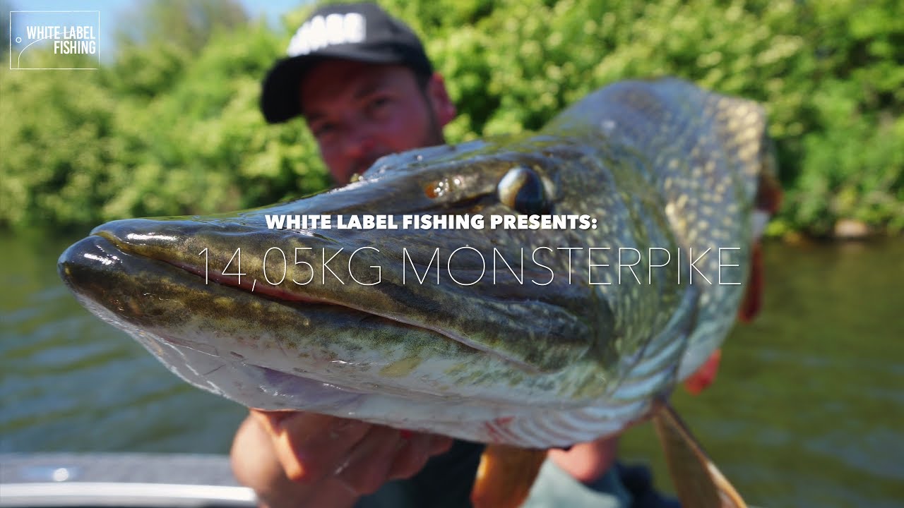 HUGE 14KG+ PIKE CAUGHT ON CAMERA! - YouTube