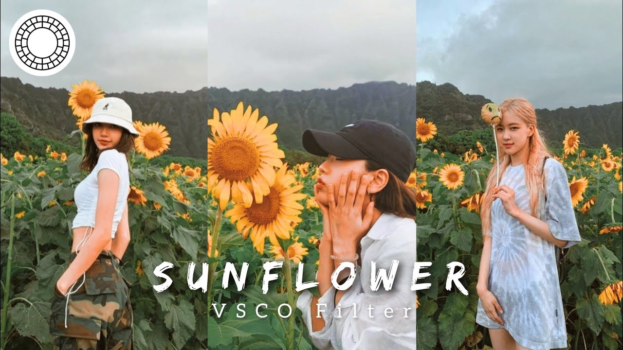 Sunflower VSCO Filter | outdoor vsco photo editing tutorial - YouTube