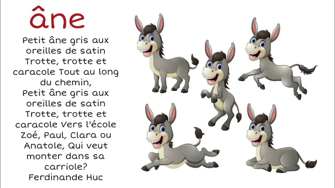 poésie âne CP CE1 CE2 #poésie - YouTube