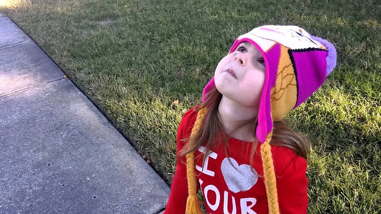 Palm Tree Poop - YouTube