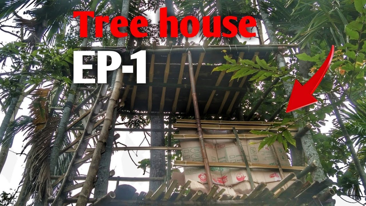 desi tree house|| part1😍 - YouTube