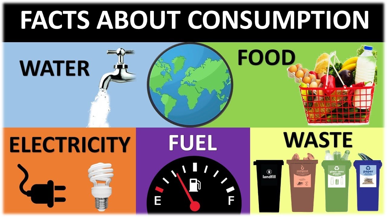 Facts About Consumption Water Food Electricity Fuel Waste facts-about-consumption-water-food-electricity-fuel-waste