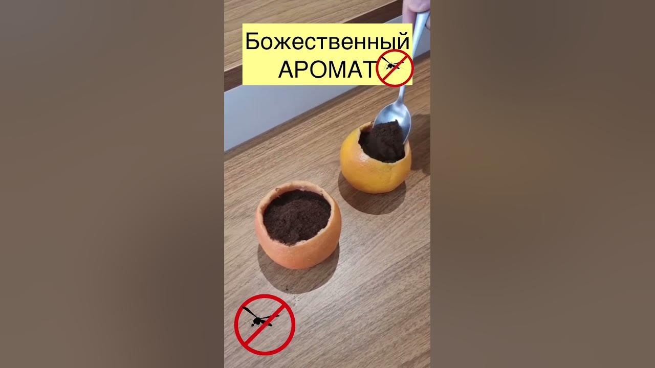🌺АРОМАТНЫЙ отпугиватель Комаров, мух, муравьёв. Эффективно против всех ...