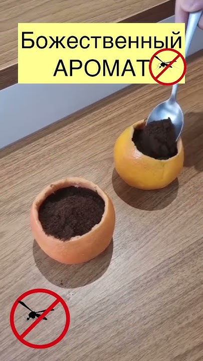 🌺АРОМАТНЫЙ отпугиватель Комаров, мух, муравьёв. Эффективно против всех ...
