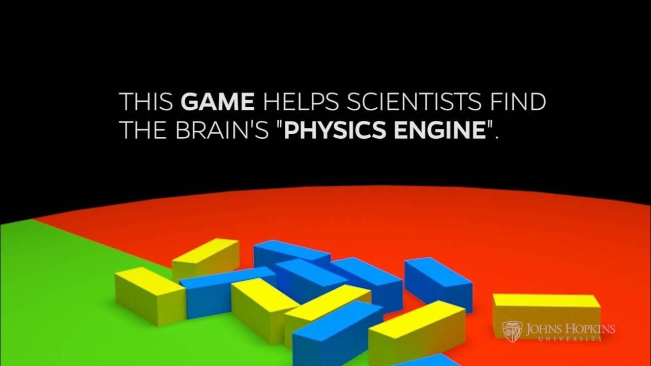 Test Your Brain's "Physics Engine" - YouTube