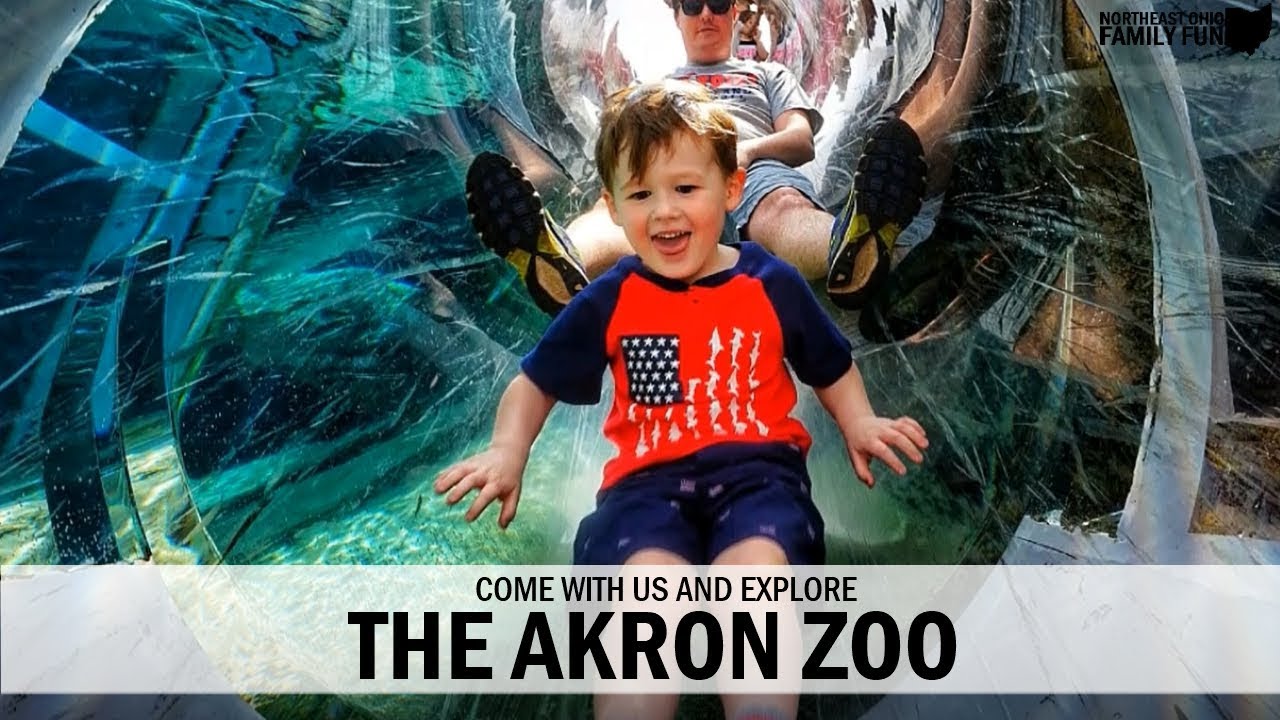 Explore the Akron Zoo with Us + Our Top Tips for Visiting - YouTube