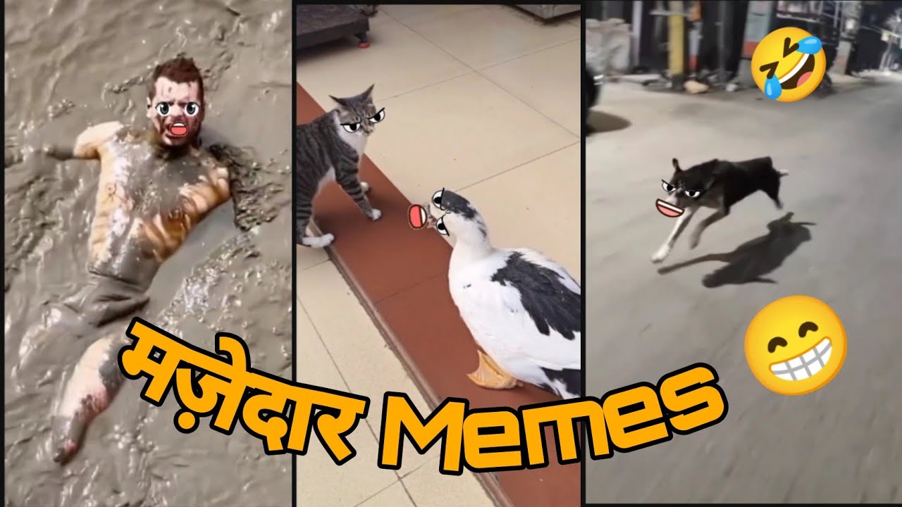 Social media की मज़ादार memes 😁😁 | funny memes video | viral funny ...