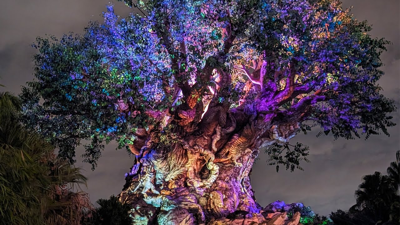 Tree of Life Awakenings Night Show 4K HDR - Animal Kingdom, Walt Disney ...