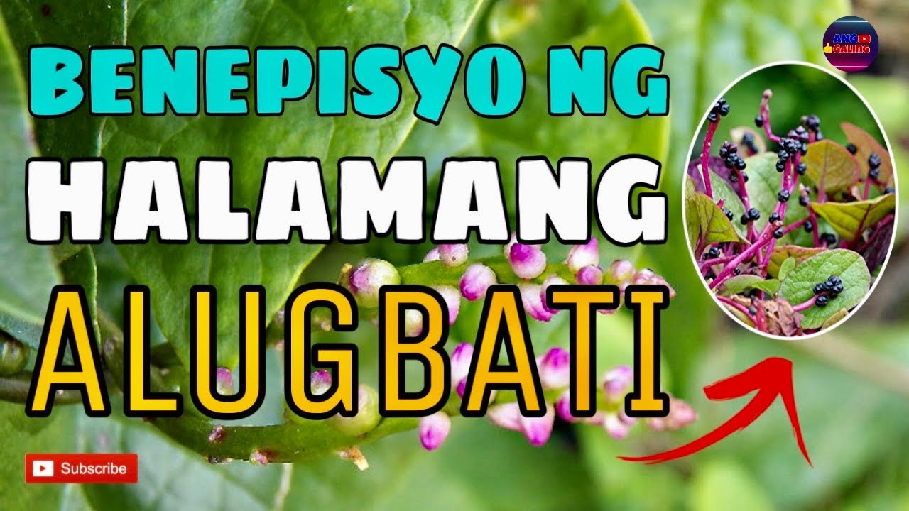 HALAMANG ALUGBATI - YouTube