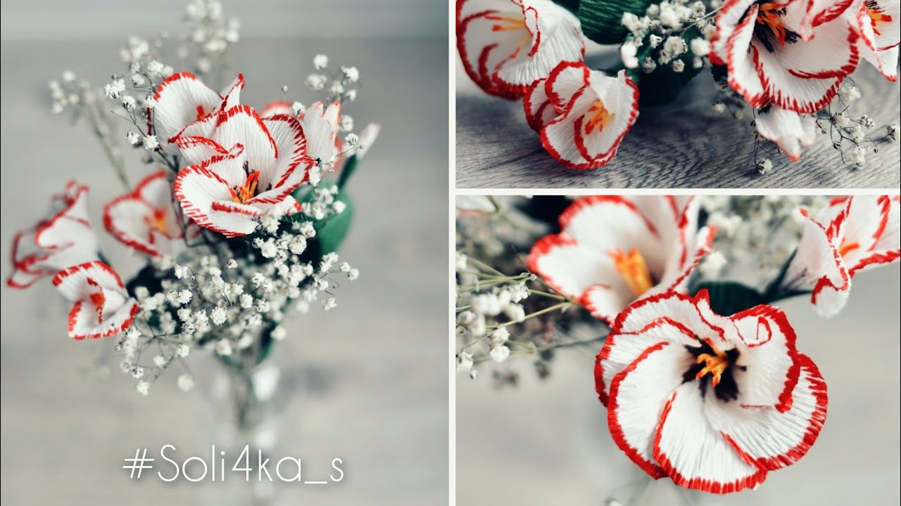 Diy Soli4ka S Еустоми з креп паперу Crepe Paper Flowers Youtube