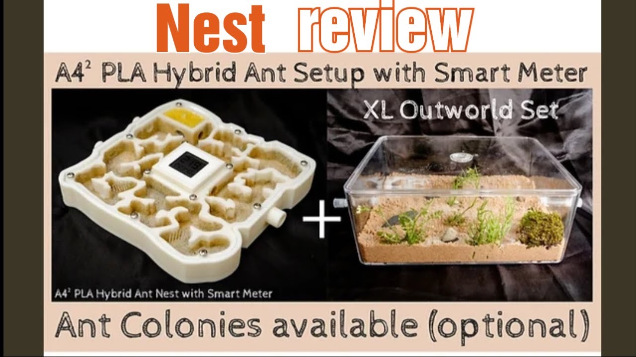 Best Ants UK A4 Hybrid Nest Setup Review + channel Announcement - YouTube