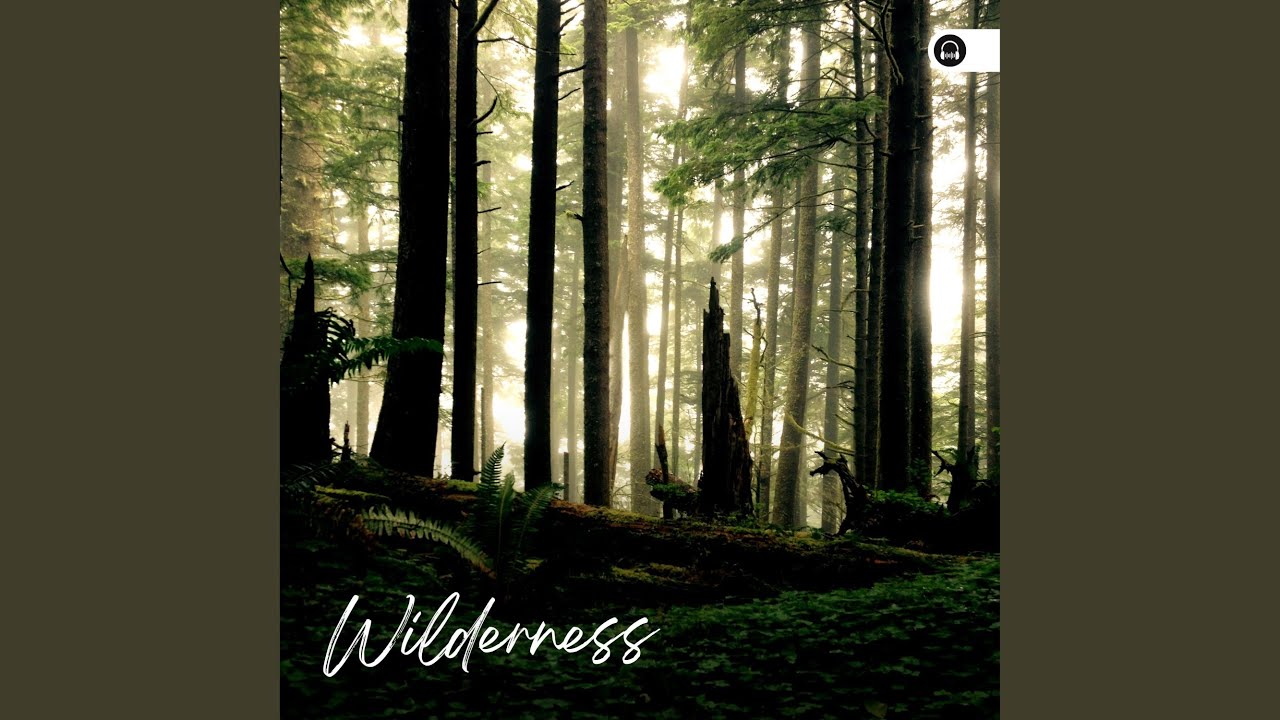 The Trees Are Dancing Ladies - YouTube