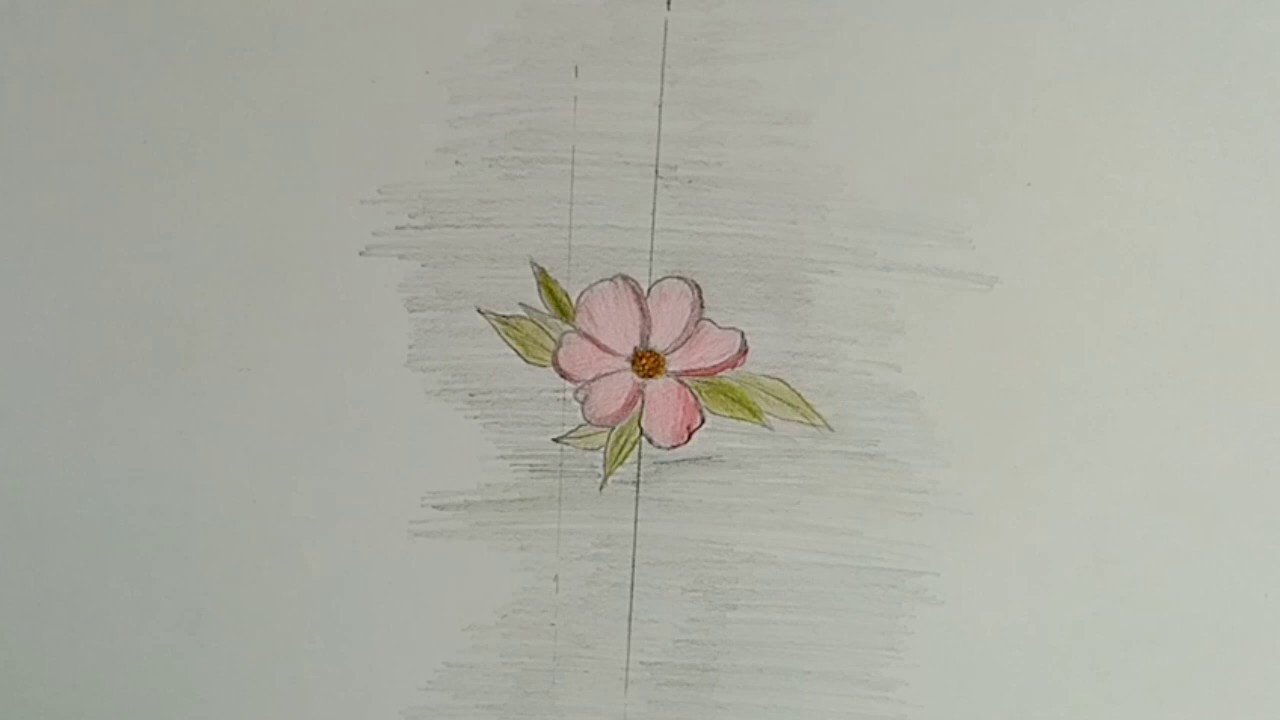 How to draw a flower - exotic flower - YouTube