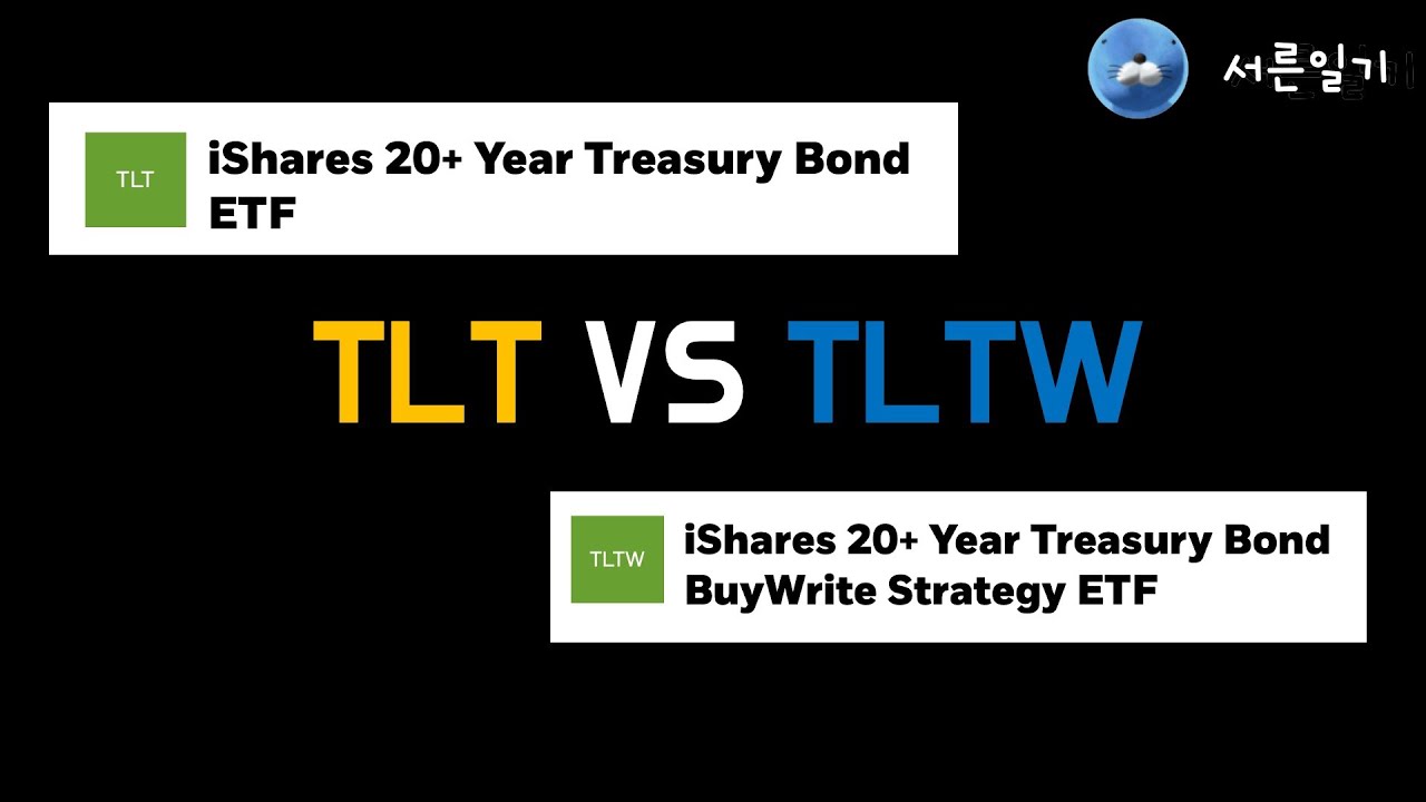 TLT냐 TLTW냐 어디에 투자해야할까 (투자전략) - YouTube