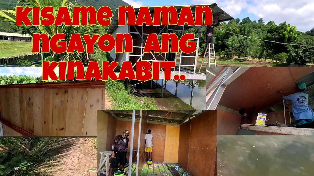 Pigeon Loft Project | May sample nanaman si esong, bakal naging kahoy ...