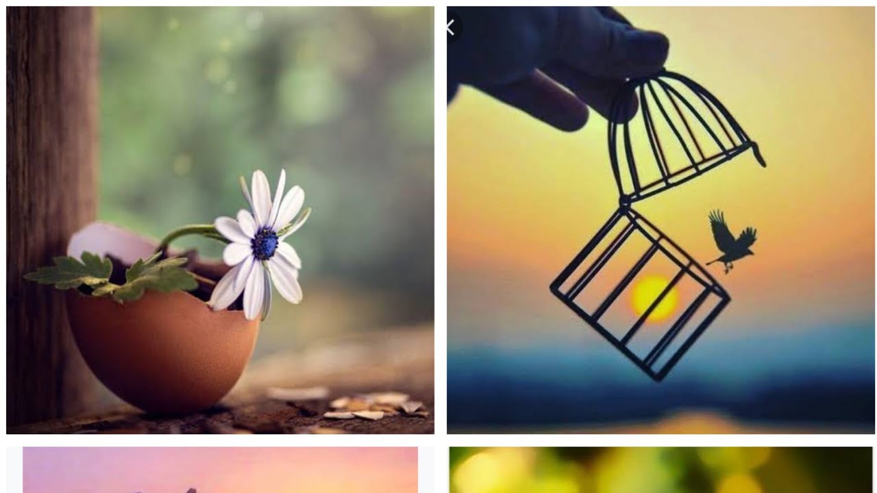 beautiful dpz/ best whatsapp dp/dpz picture/cute and beautiful dpz/dpz ...