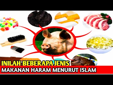 Inilah 5 Jenis Makanan Haram Menurut Islam -Taman Islami - YouTube