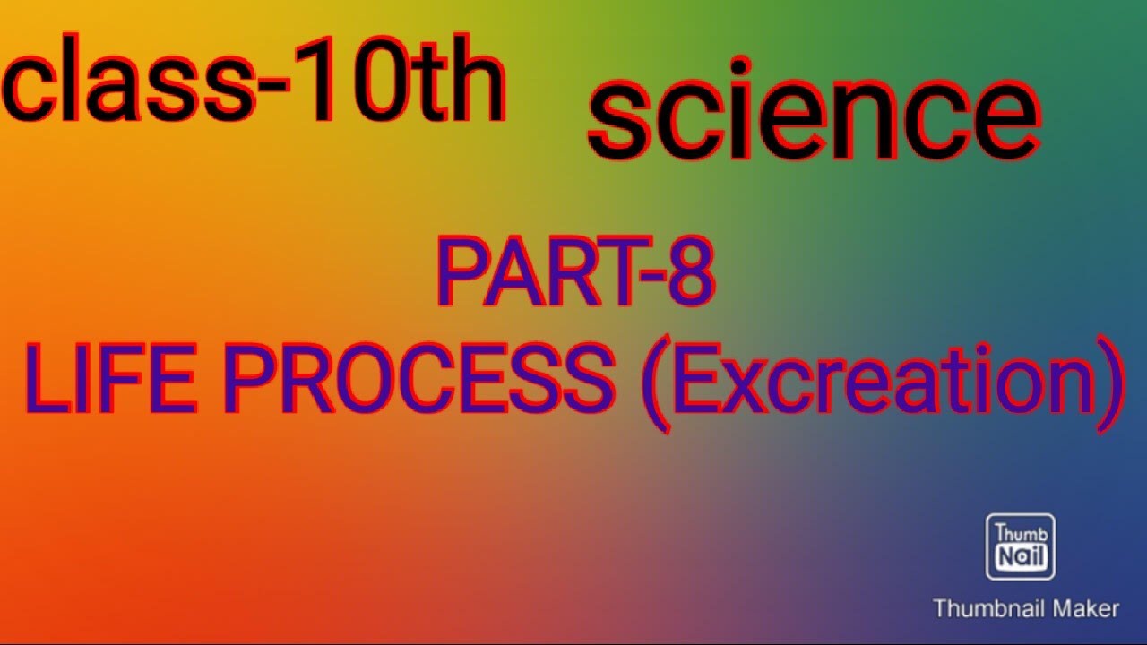 CLASS 10th LIFE PROCESS Part 8 Excretion YouTube class-10th-life-process-part-8-excretion-youtube