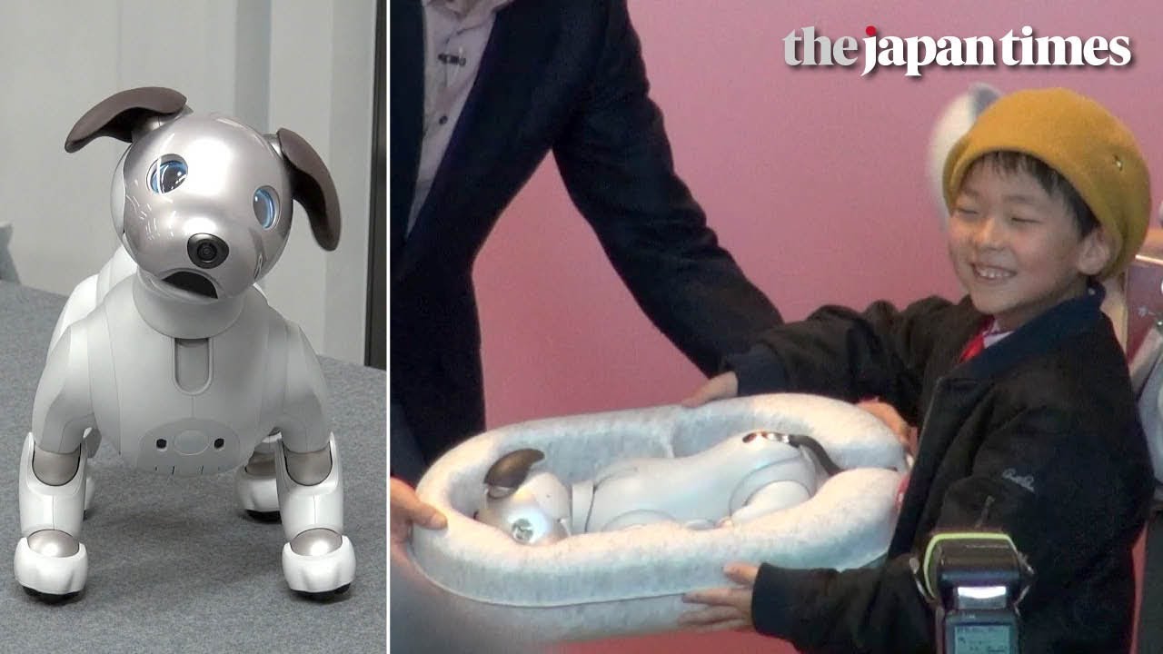The new Aibo meets its new owner at Sony’s Tokyo headquarters - YouTube