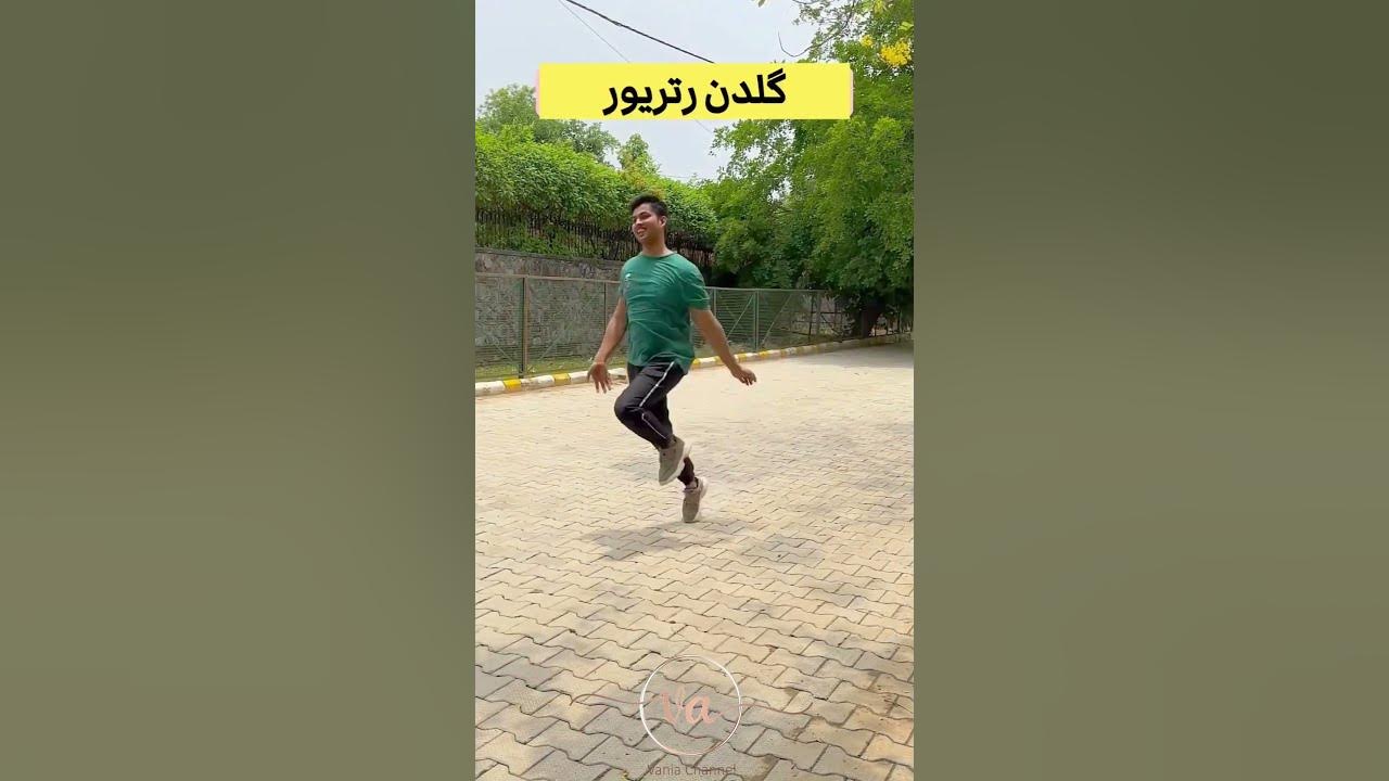 اگه سگ ها آدم بودن چی میشد؟ سگ سگژرمن دوستدختر دوستپسر سگنگهبان سگهایبیسرپرست کمدی